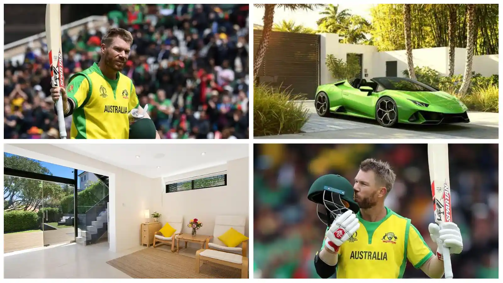 David Warner Net Worth 2024, Salary, Sponsorships, Cars and Charities ...