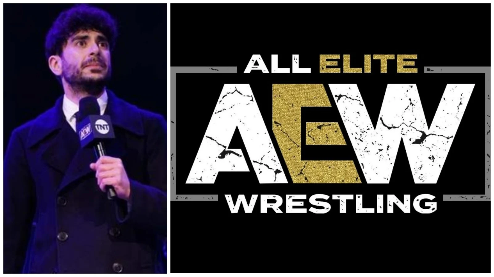 AEW Company Net worth 2024, History, Owners and Charity Work