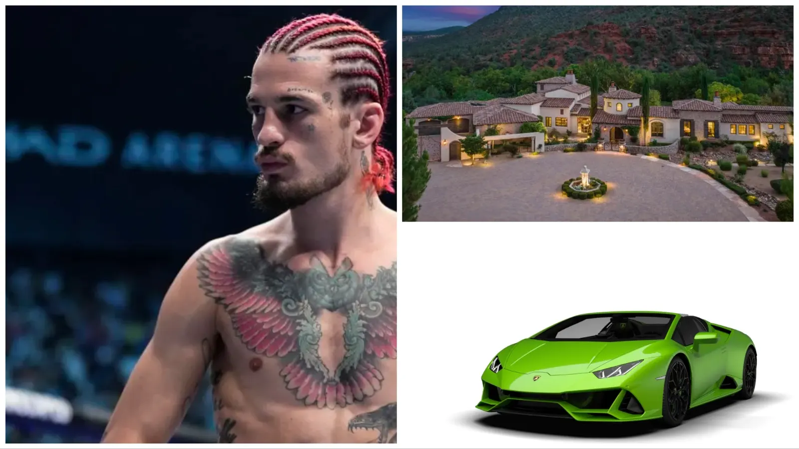 Sean O’Malley Net Worth 2024, Contract, Endorsements, Cars, Houses ...