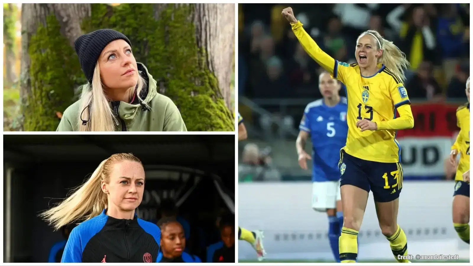 Amanda Ilestedt Net Worth, Age, Height, Husband, Position, Team, Stats ...