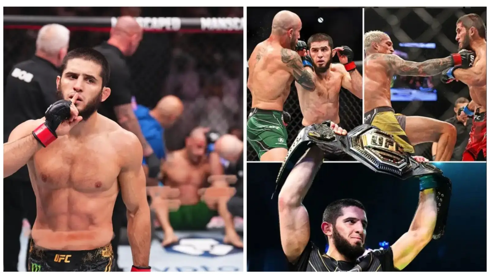 The UFC Lightweight Championship has some great fights lined up for the ...
