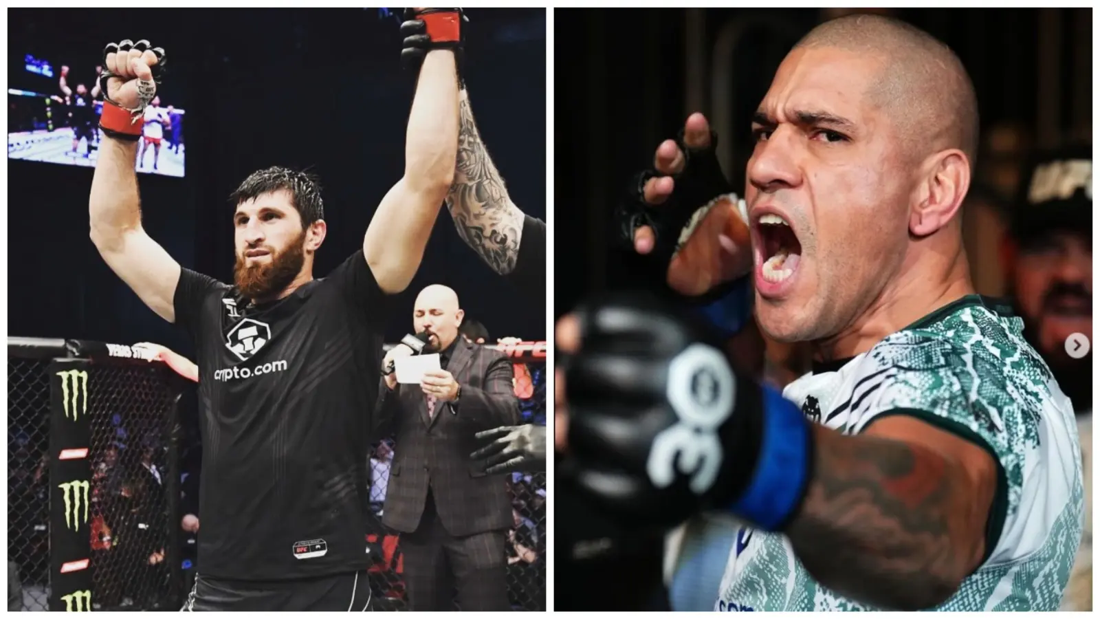 Magomed Ankalaev is ready to fight Alex Pereira for the Light ...