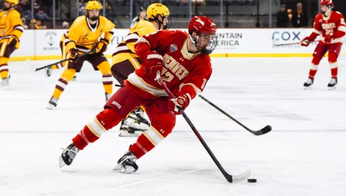 The Best Hockey Academies in the United States for Young Players